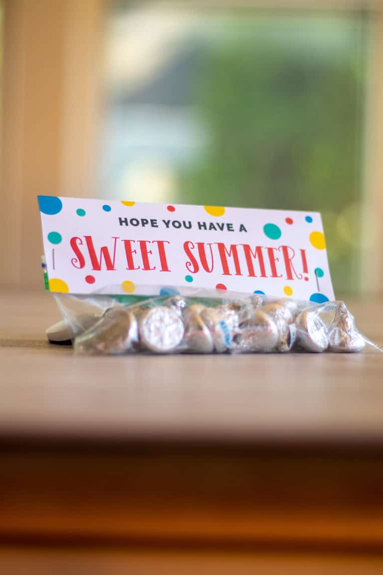 Free Printable End of School Year Summer Bag Toppers