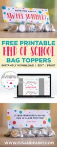 Free Printable End of School Year Summer Bag Toppers