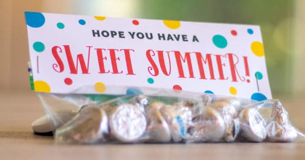 Free Printable End of School Year Summer Bag Toppers