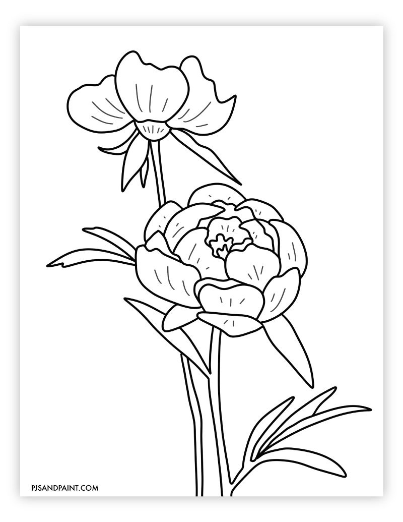 7 Free Printable Floral Coloring Pages - Pjs and Paint